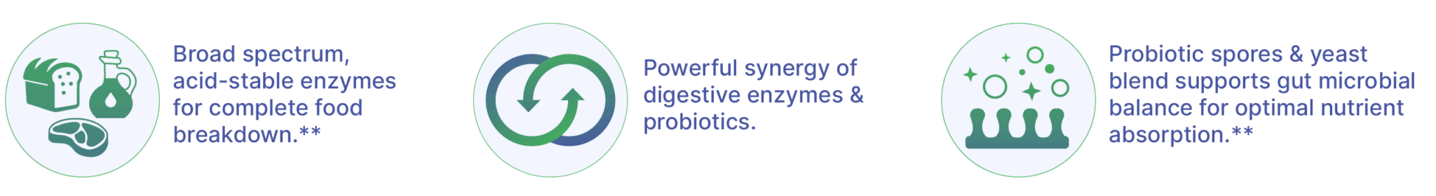 DigestMate™ | Microbiome Labs